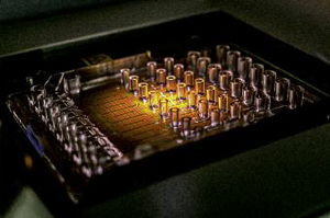 Biochips: A Powerful Tool for Multiple and Fast Analysis ...