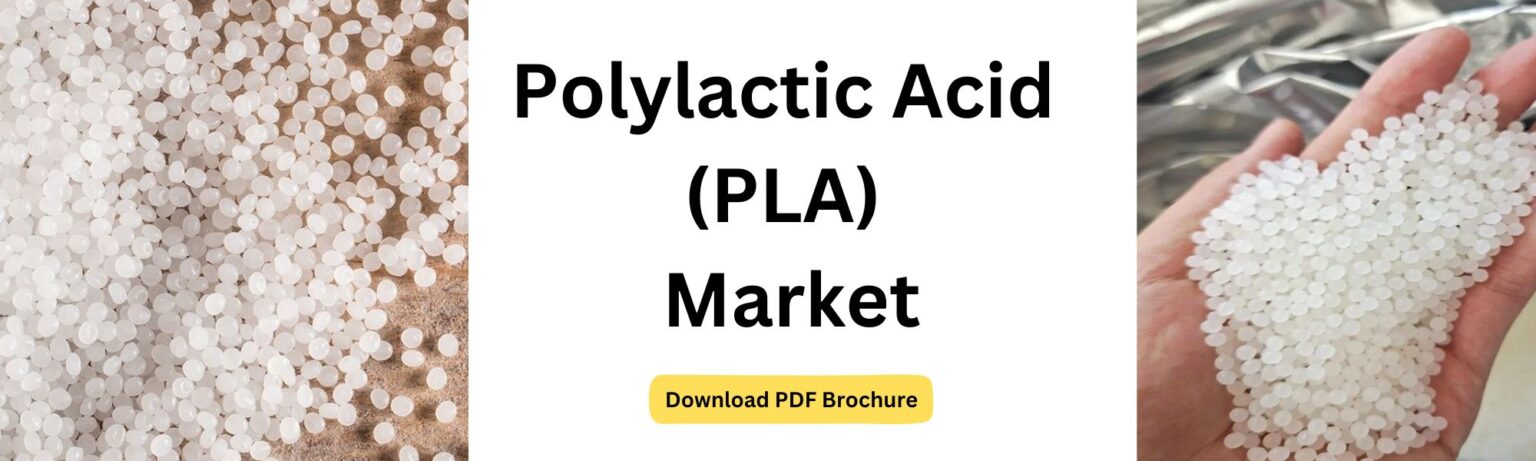 Eco-Friendly Choices: PLA’s Influence on the Food Packaging Industry ...